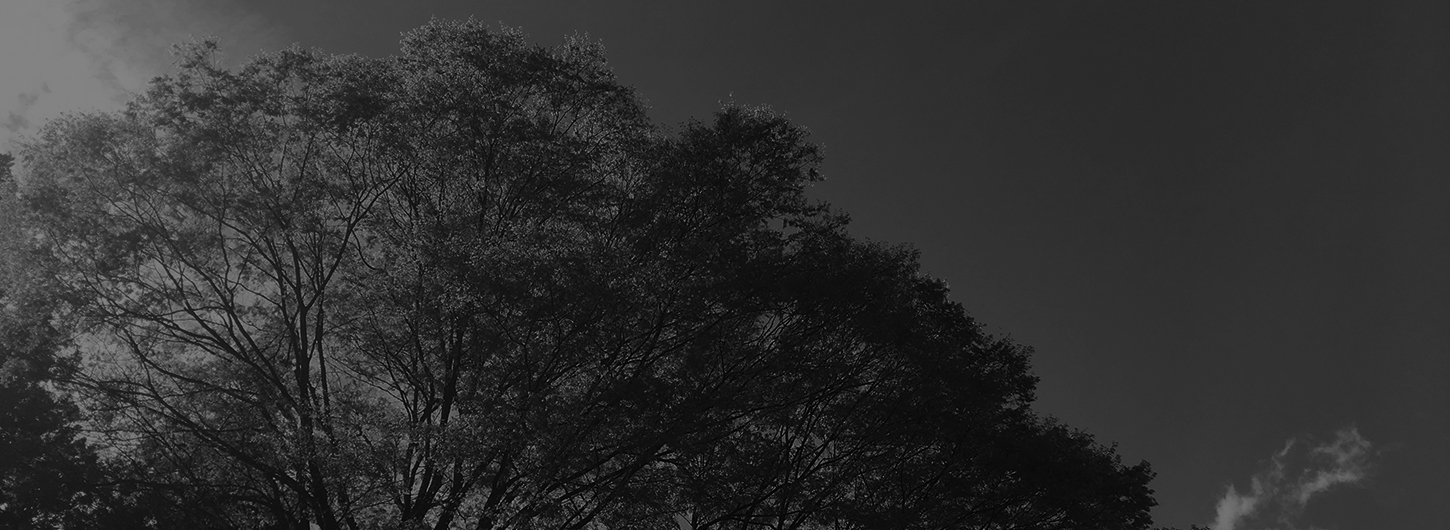 kibari.tokyo | Just another WordPress site